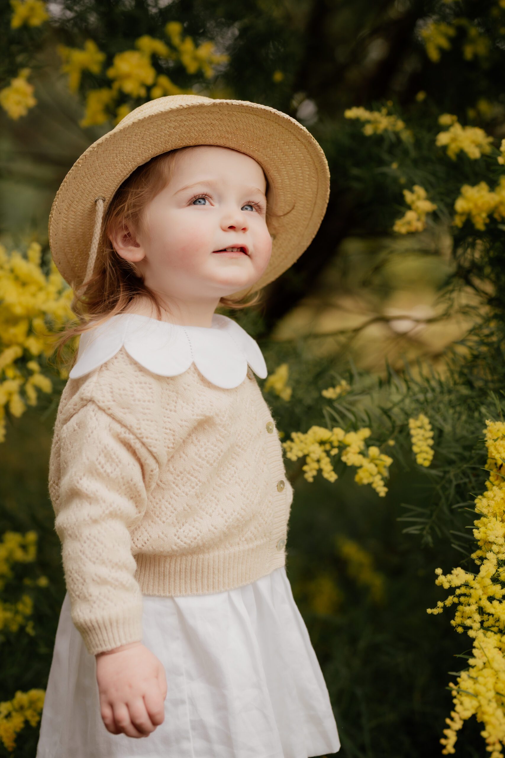 Choosing your shoot location - staceyrolfephotography.com